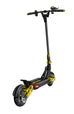 DRAGON RAPTOR - All Terrain DUAL MOTOR Electric Scooter- 2024 model