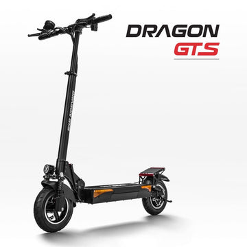Dragon Scooter: Best Electric Scooter Collection | BikeScooterCity